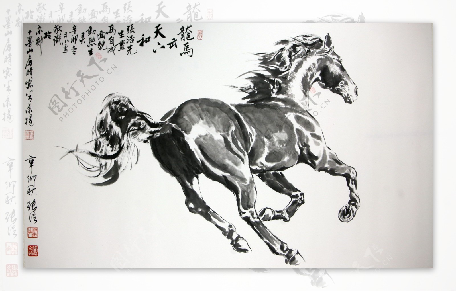 国画马图片素材-编号07132690-图行天下