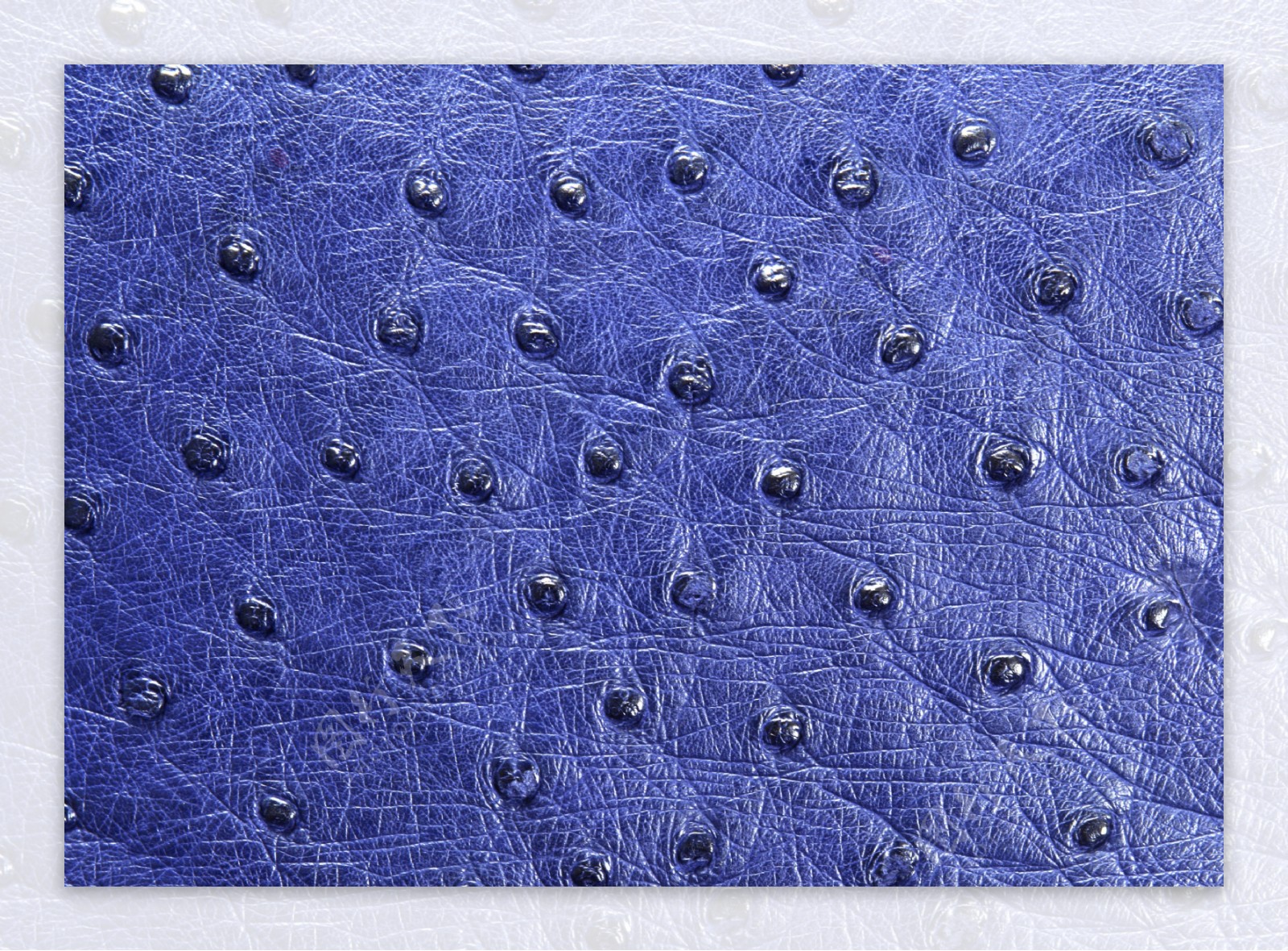 皮革材质图片素材-编号09037920-图行天下