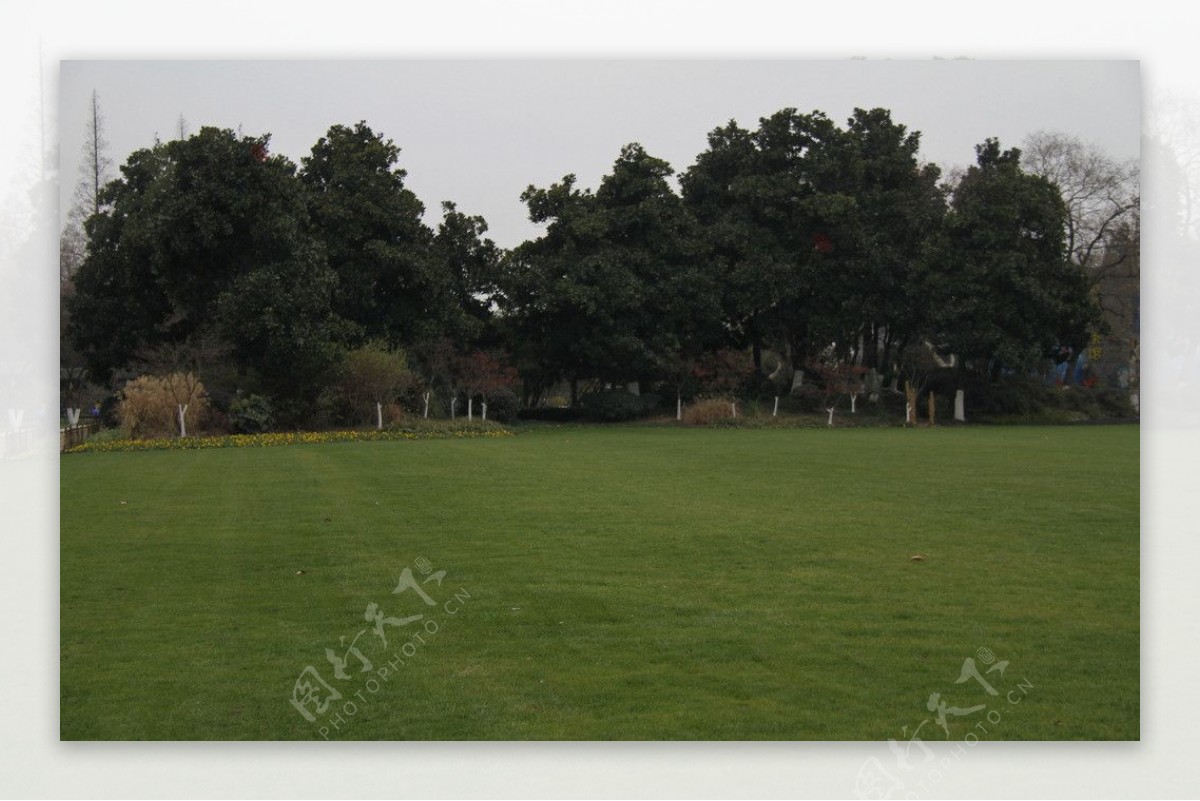公园绿草地图片素材-编号09732370-图行天下