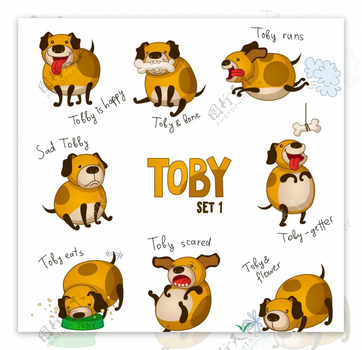 宠物狗图片素材-编号09885200-图行天下