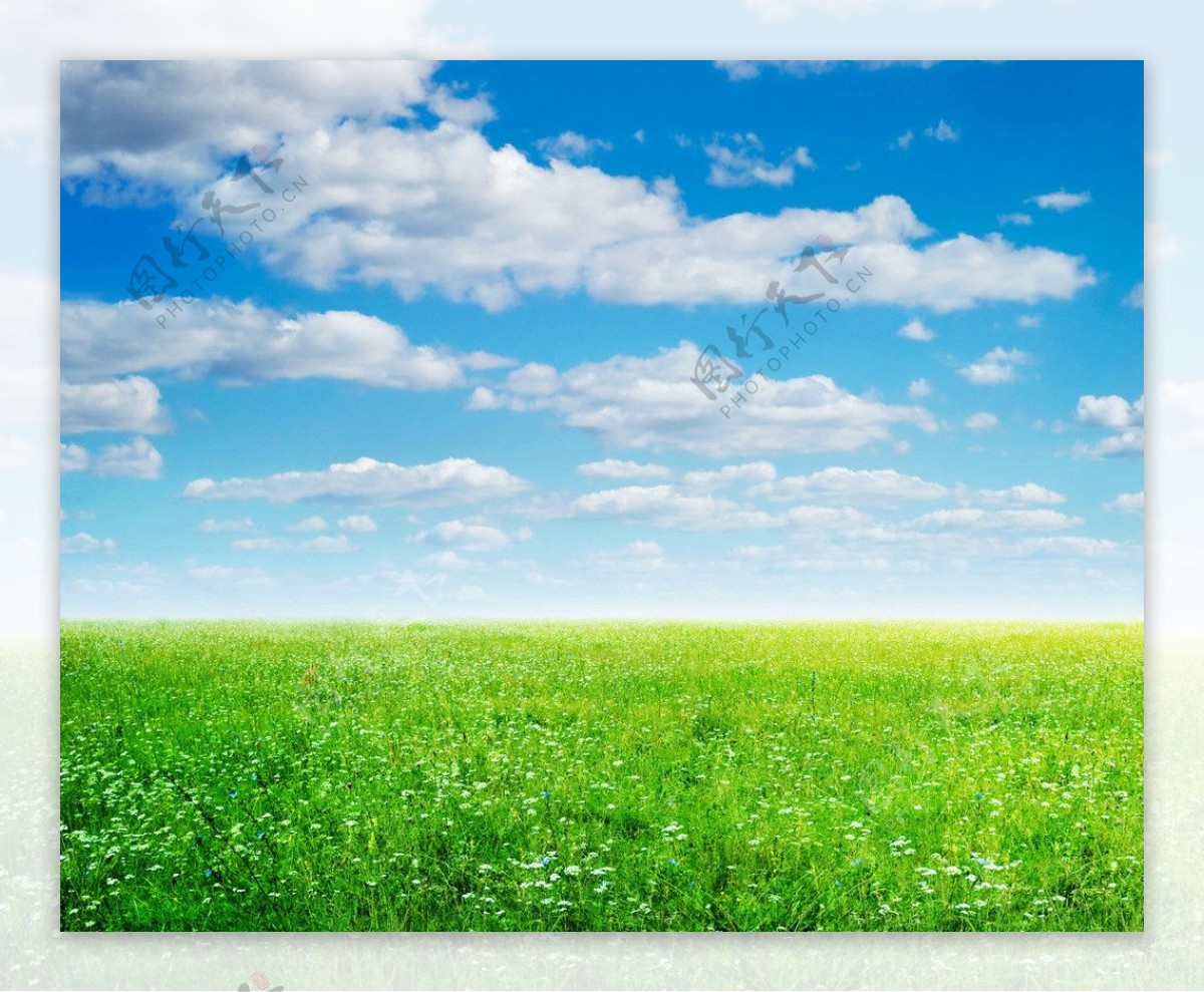 草地草原风光风景图片素材-编号11211130-图行天下