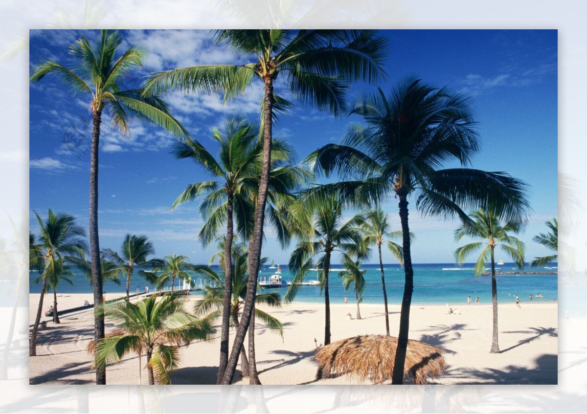 海边风景图片素材-编号11611630-图行天下