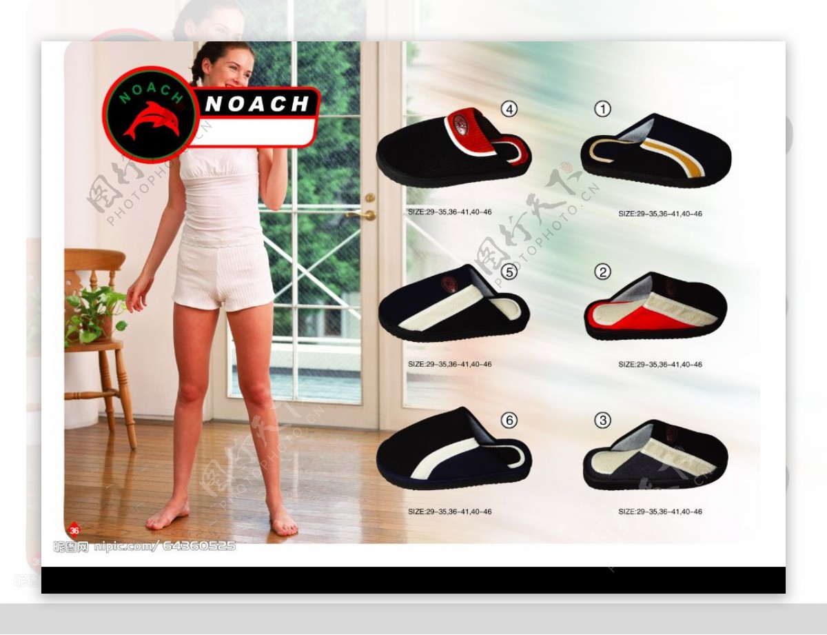 noach画册图片素材-编号12551570-图行天下