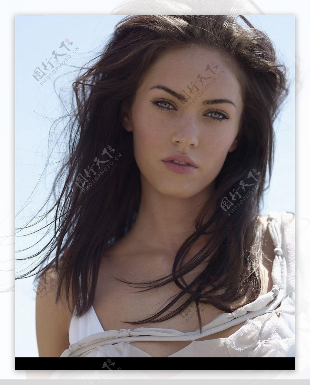 梅根183福克斯图片素材-编号12692660-图行天下