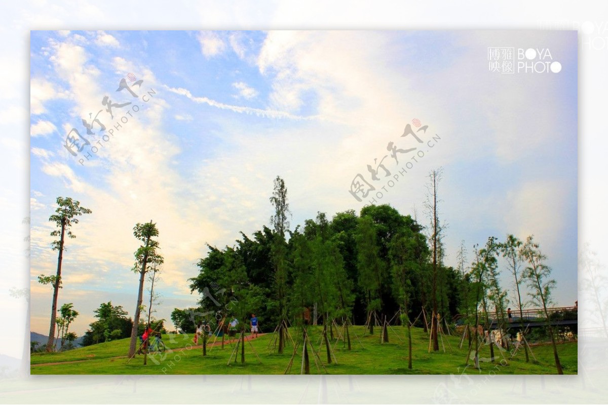 深圳风景图片素材-编号13252000-图行天下