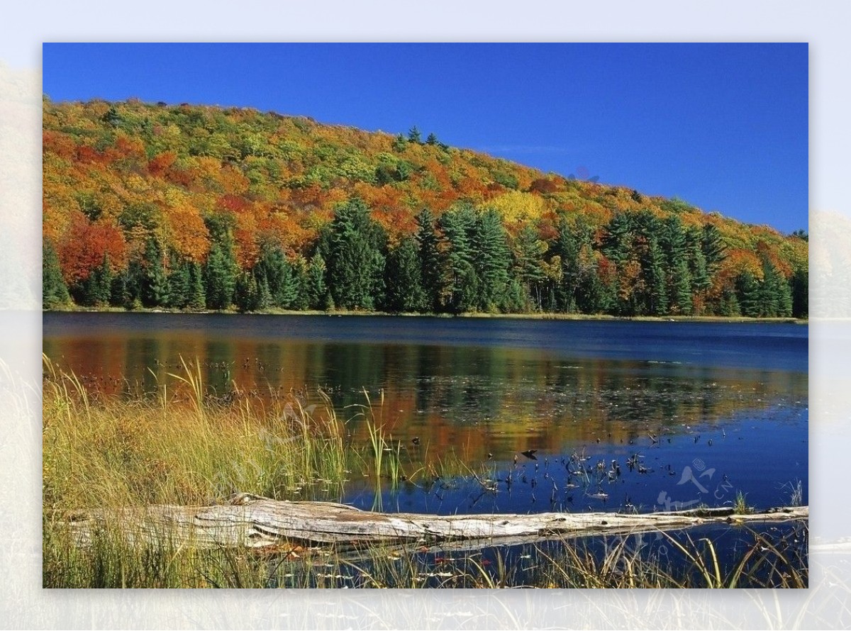 欧洲风景图片素材-编号14841250-图行天下