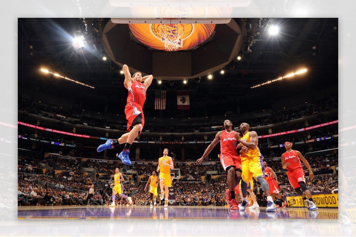 格里芬图片素材-编号15769400-图行天下