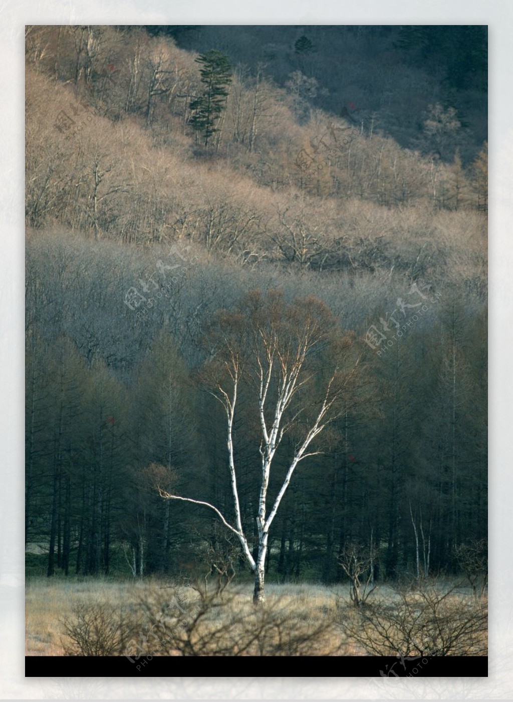 四季休闲0055图片素材-编号19773580-图行天下