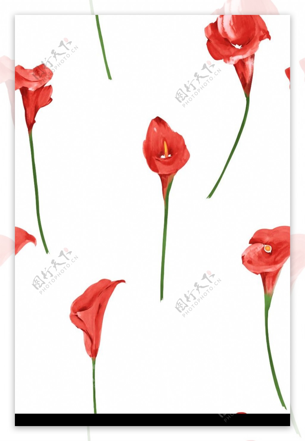 花纹0202图片素材-编号20051800-图行天下