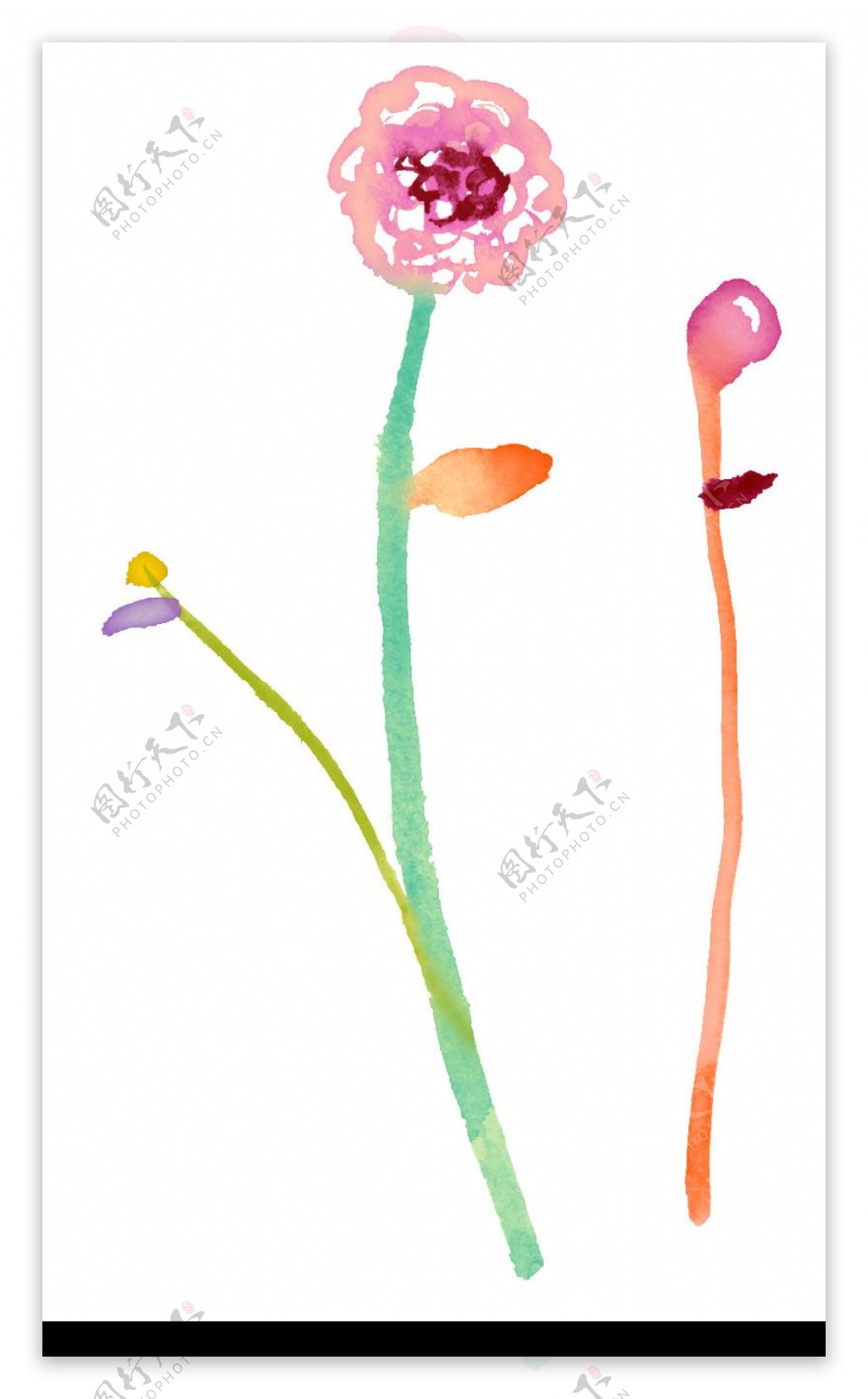 彩绘物件0198图片素材-编号20459060-图行天下