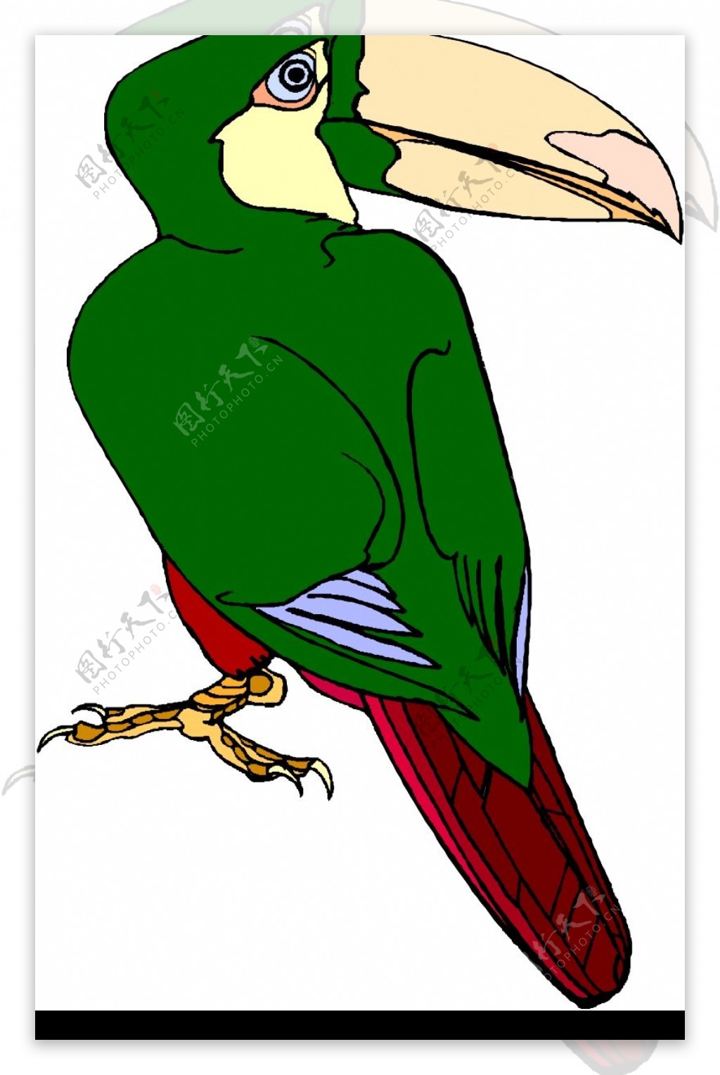 鸟类动物0236图片素材-编号20610420-图行天下