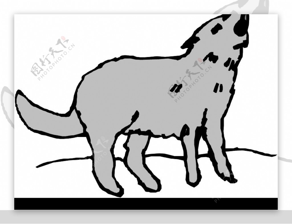 珍稀动物0261图片素材-编号20857740-图行天下