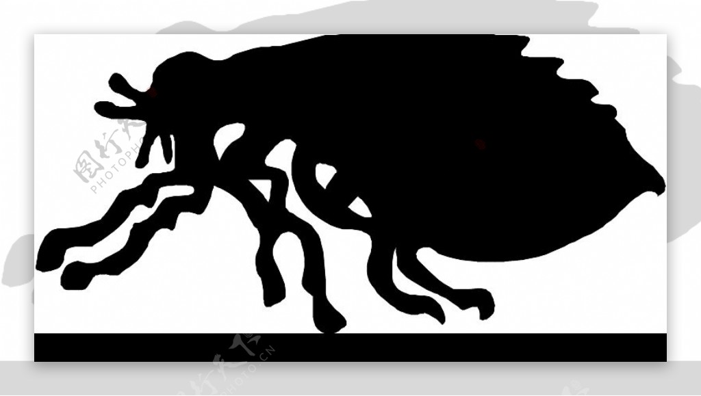 昆虫蝴蝶0204图片素材-编号20877110-图行天下