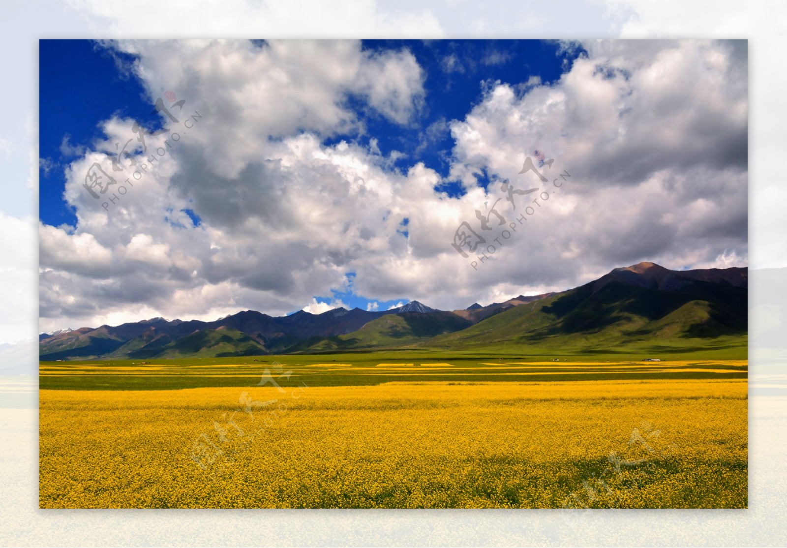 花海图片素材-编号22952040-图行天下