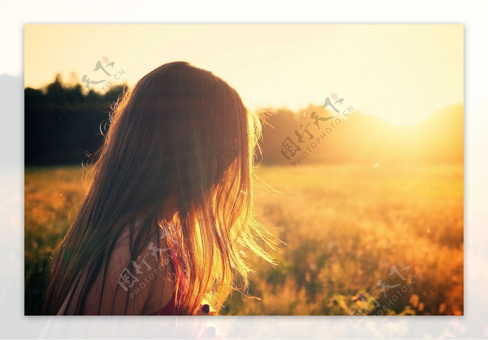 黄昏美女侧面图片素材-编号23091000-图行天下
