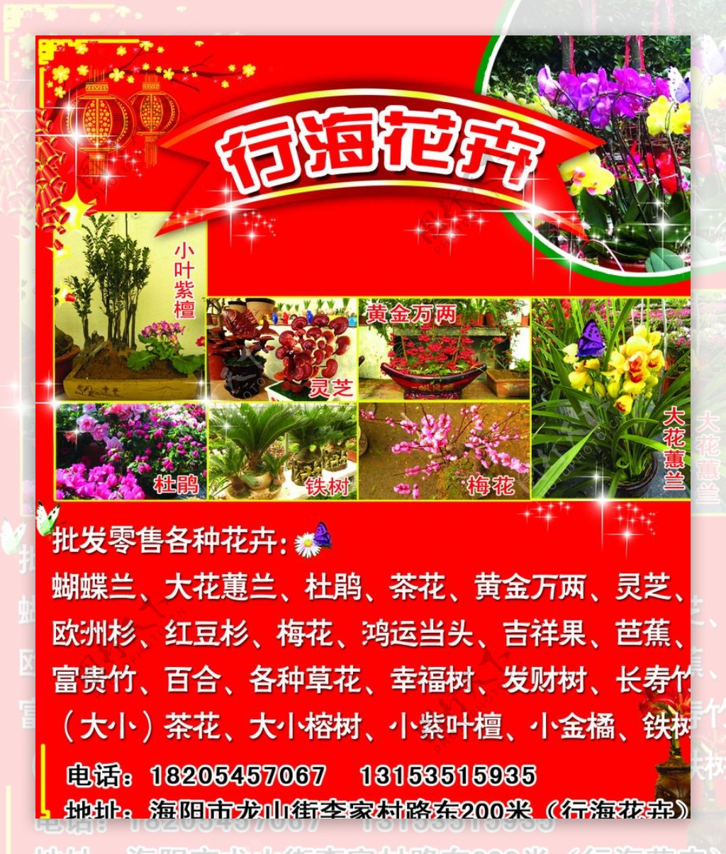 花卉图片素材-编号23559000-图行天下