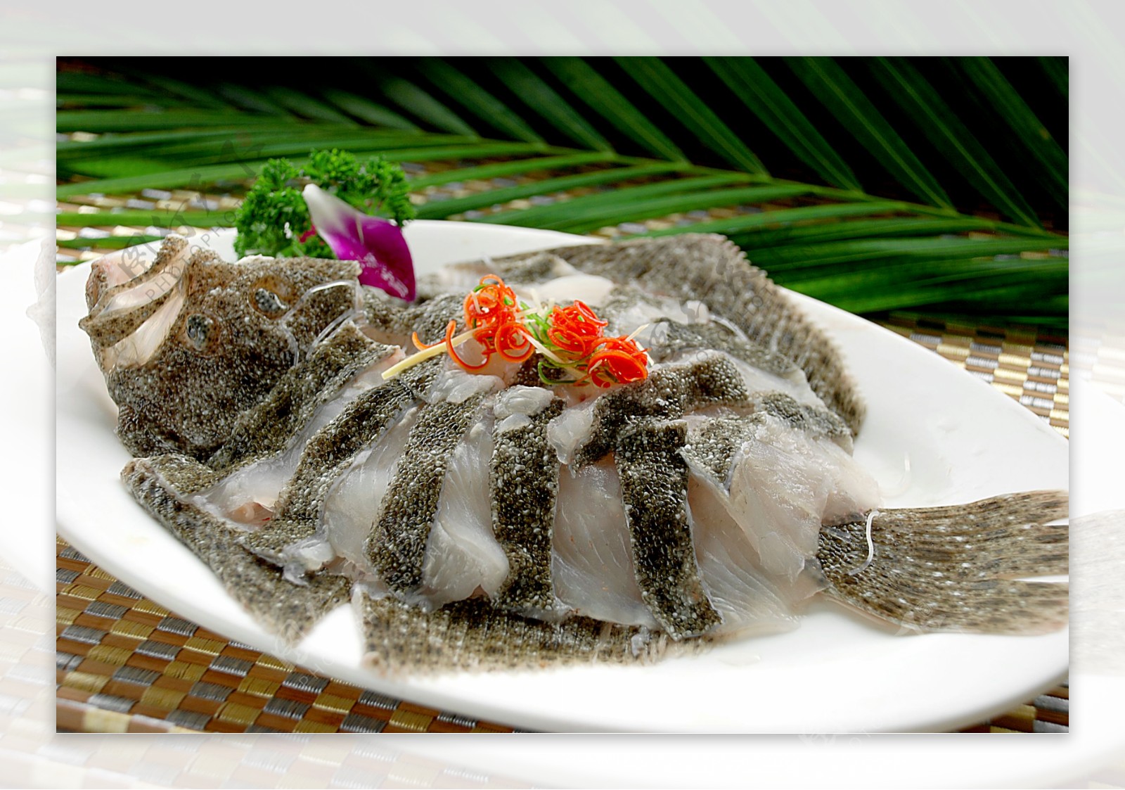 多宝鱼图片素材-编号23887360-图行天下