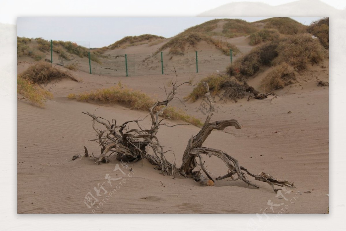 戈壁滩风光图片素材-编号24080150-图行天下