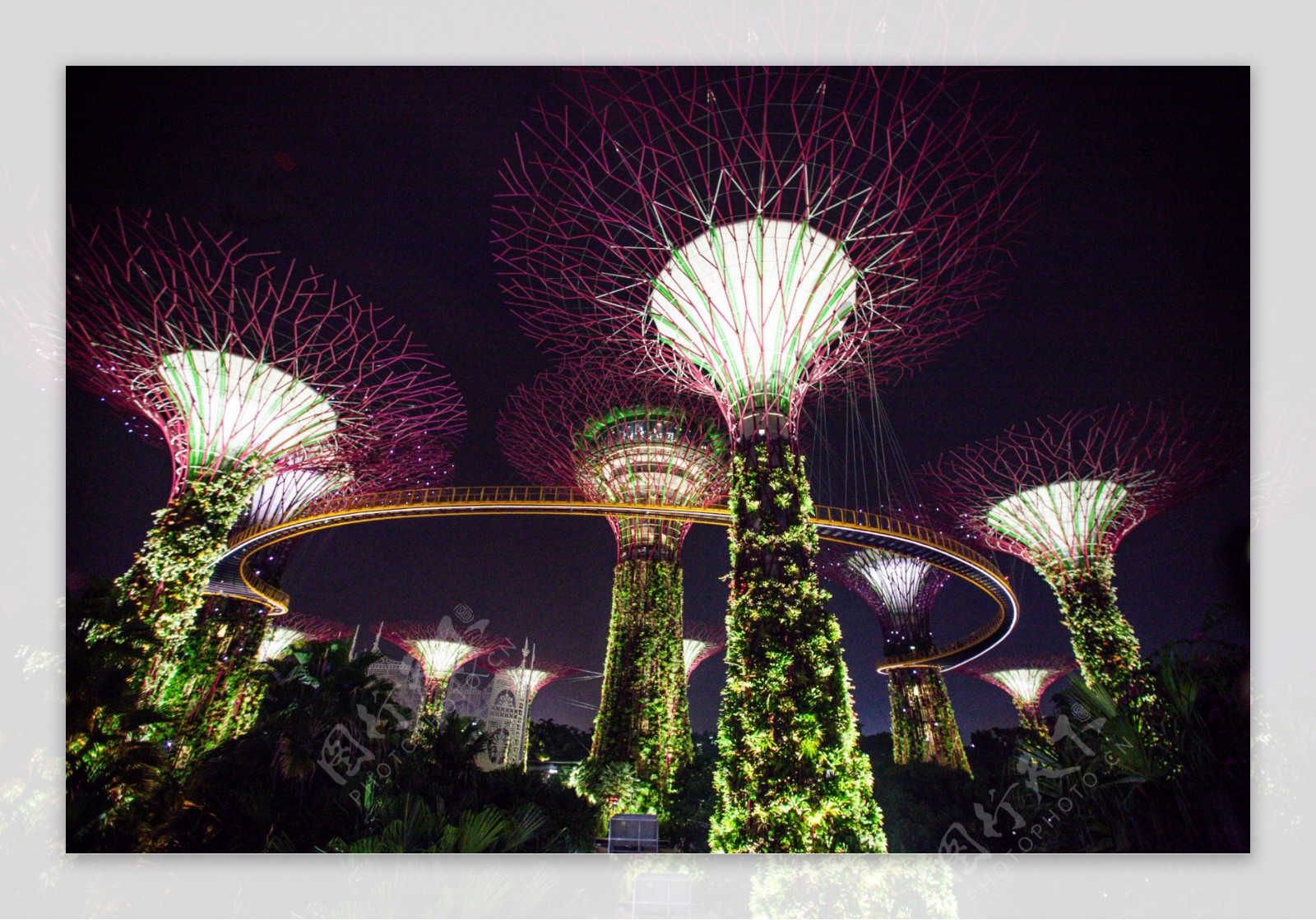 新加坡超级树图片素材-编号24147790-图行天下