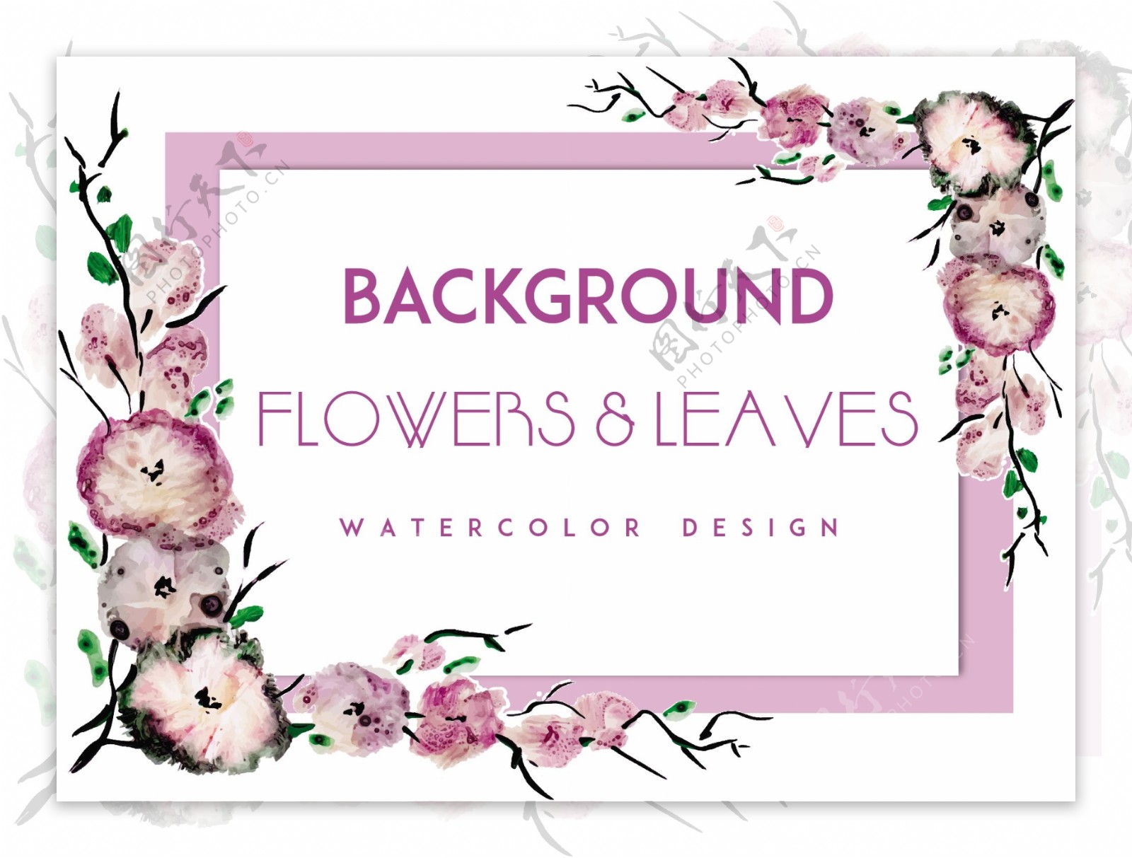 漂亮紫色花卉花边边框背景图片素材-编号24563540-图行天下