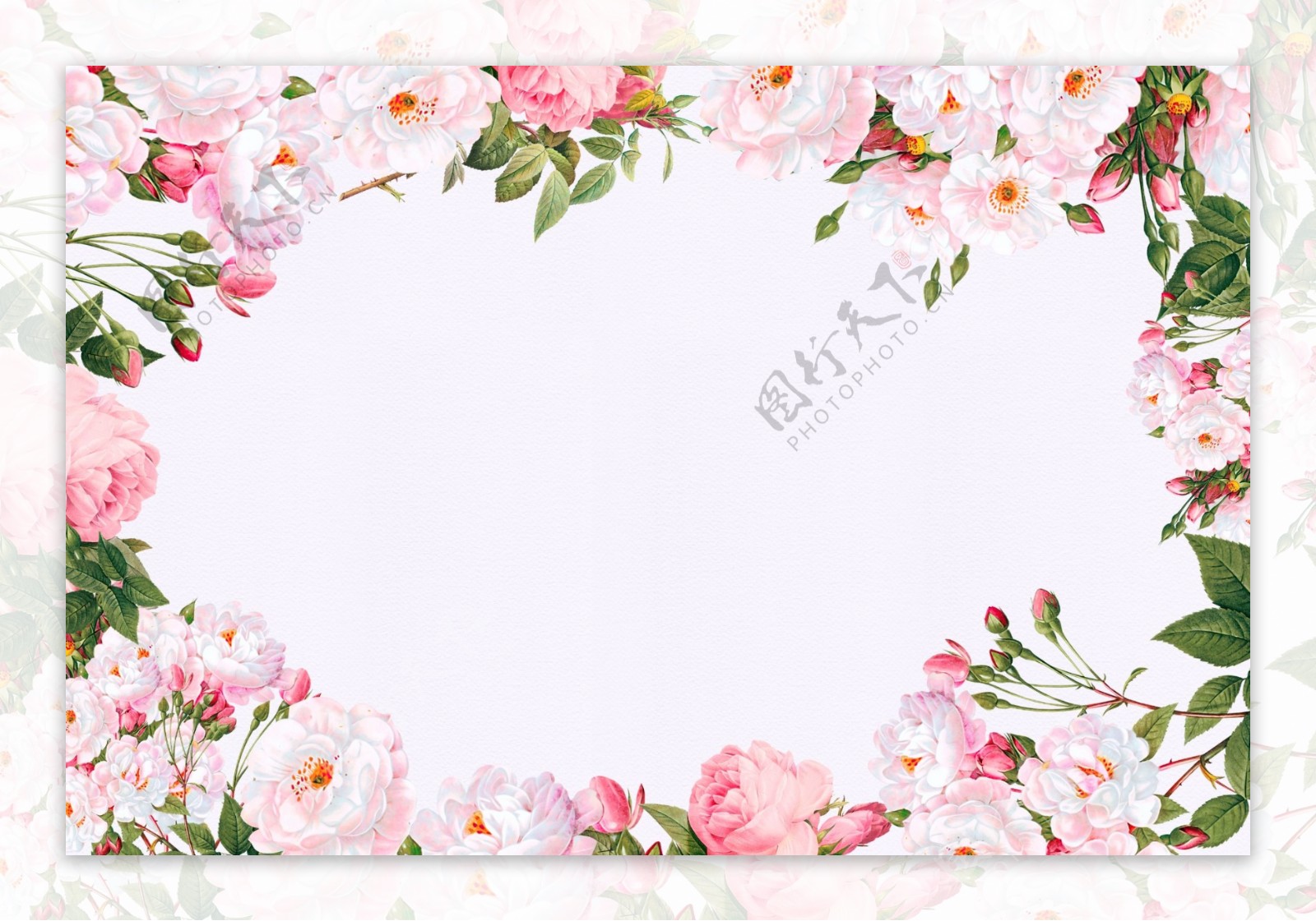 花边框图片素材-编号25196210-图行天下