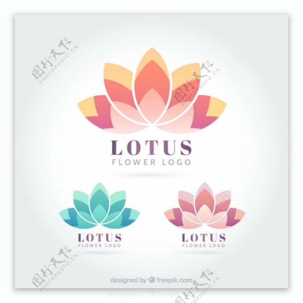 莲花标志图片素材-编号26700540-图行天下