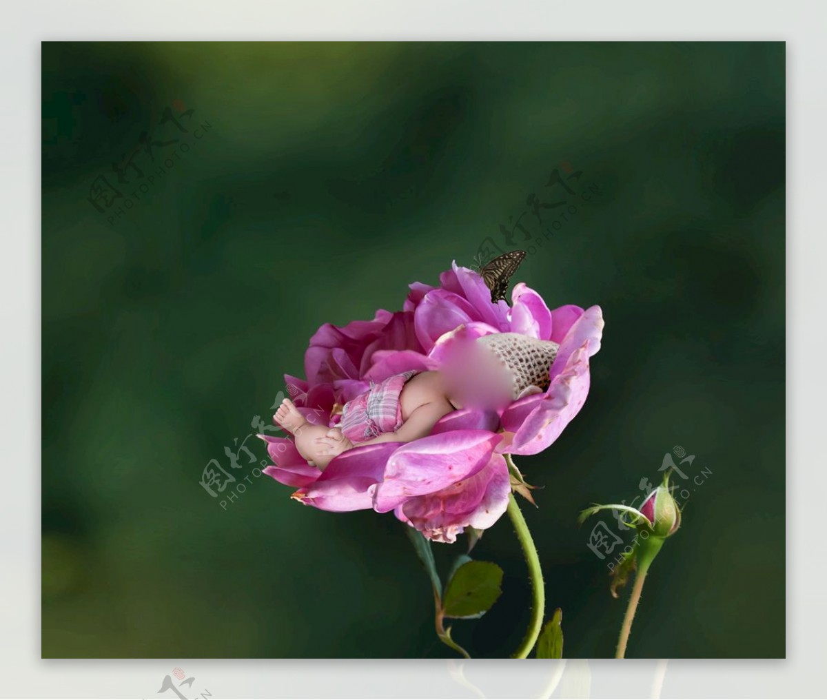 相册图片素材-编号32252710-图行天下