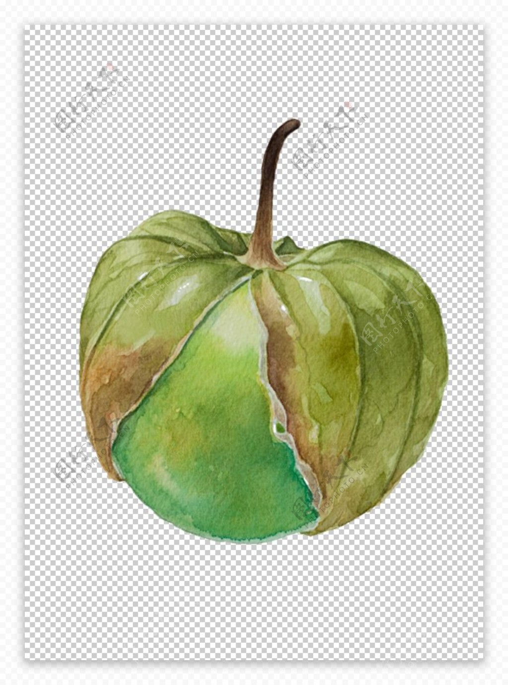 手绘涂鸦水果插画图片素材-编号35170300-图行天下