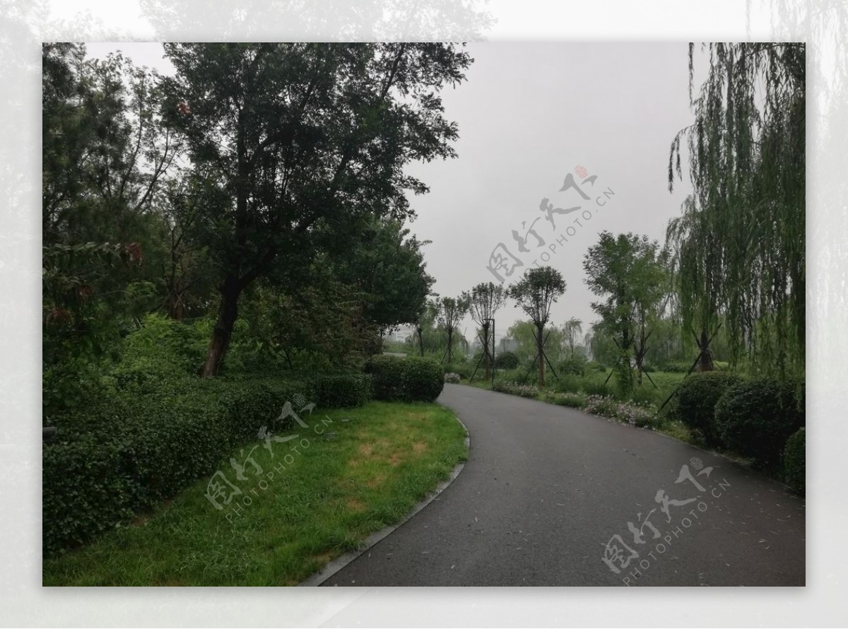 公园的道小路图片素材-编号38113000-图行天下